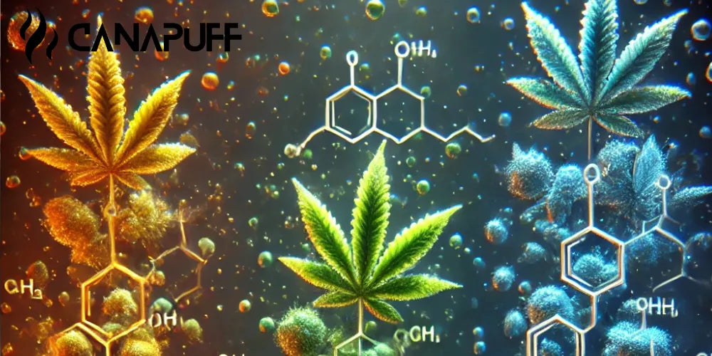 HHC vs. HHCO vs. HHCP: Expertenleitfaden für Cannabinoide